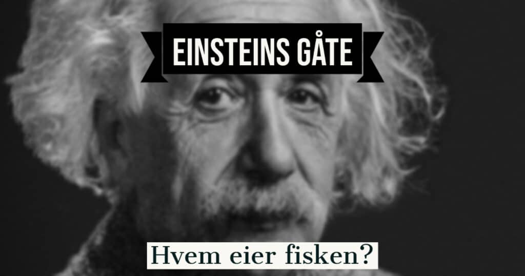 Albert Einstein | Vitser og Gåter
