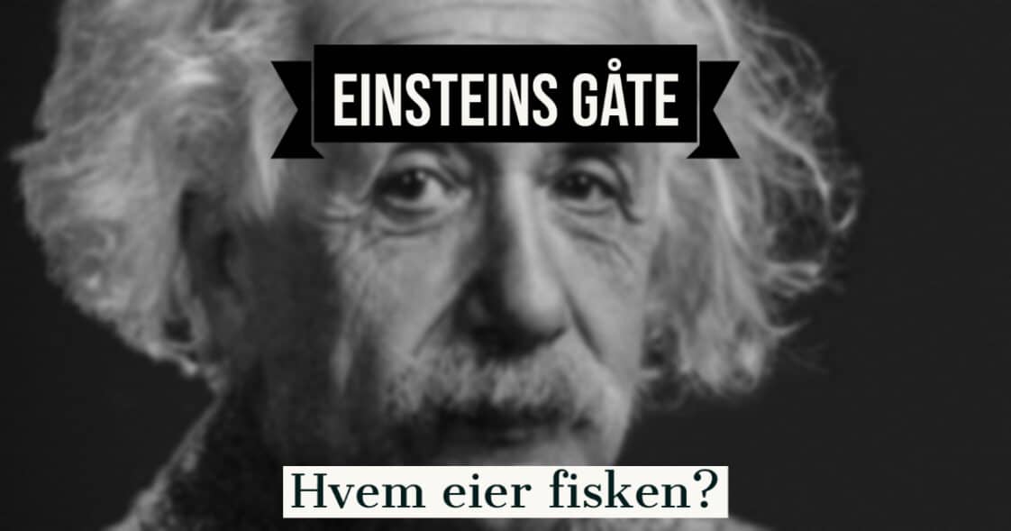 Einsteins gåte - med fasit | Vitser og Gåter
