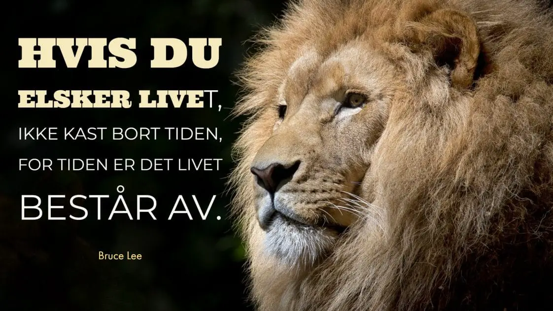 30 Sitater om livet | Vitser og Gåter